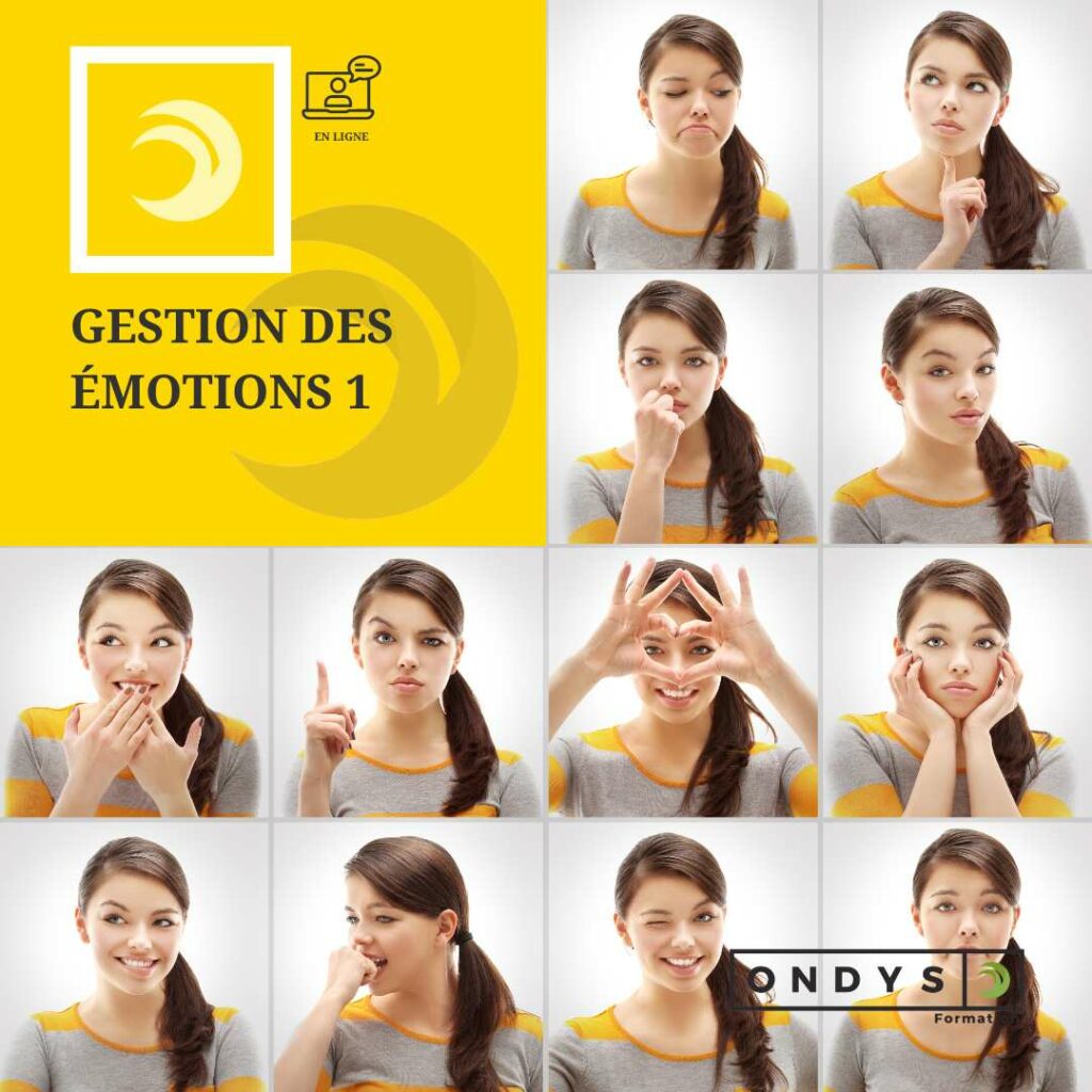 Formations en gestion des émotions : niveau 1 et ennéagramme